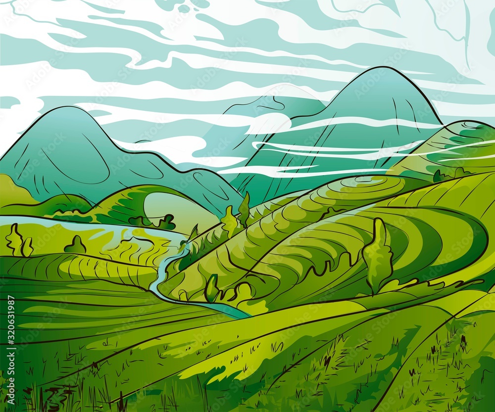 rice field terraces in the mountains landscape, Vector rice or tea ...