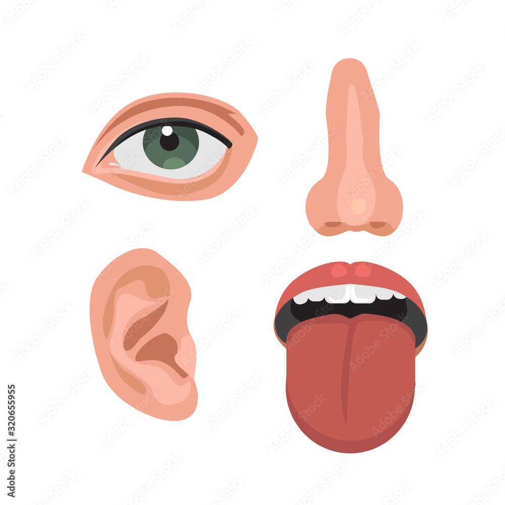 Nose, ear, eye, throat or mouth -parts of a human face. ENT doctor ...