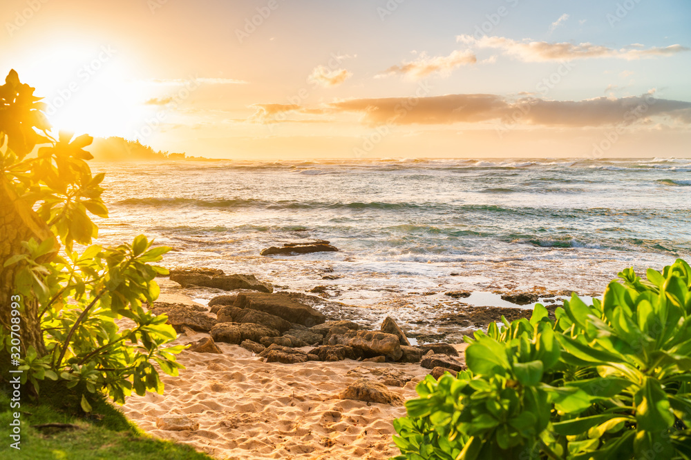 Hawaii beach landscape at sunset Oahu island Aloha summer travel ...
