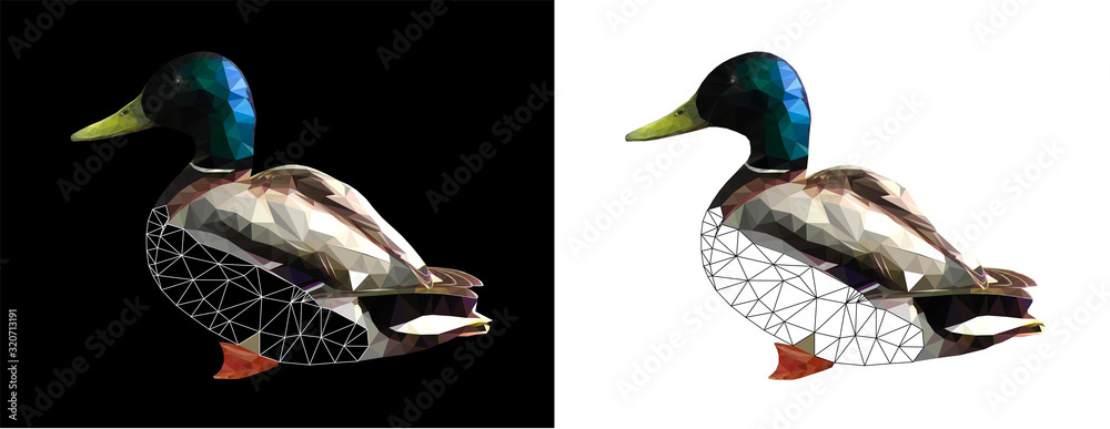 Low poly triangular and wireframe single mallard duck drake on black ...