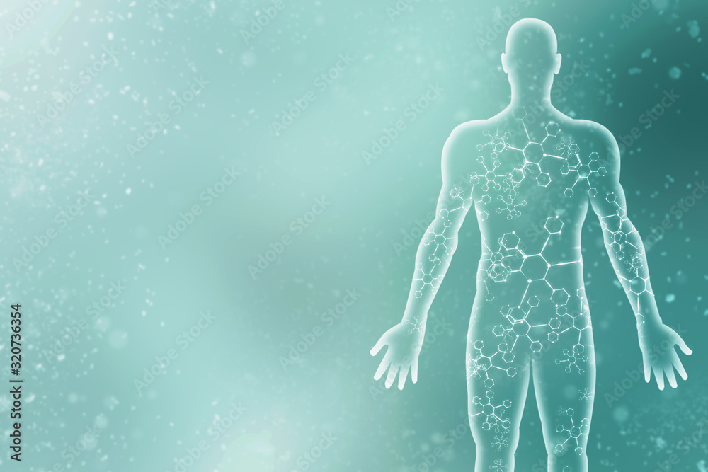 2d illustration Human Male Muscle Body Stock Illustration | Adobe Stock