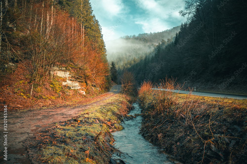 Nature Capture with little Creek in the Pine Forest Stock Photo | Adobe ...