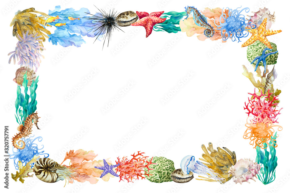 Rectangular frame of underwater reef elements, coral, sponge, urchin ...