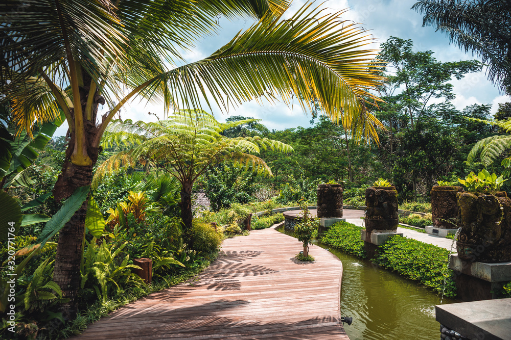 Scenic wooden road surrounded by palm trees and tropical plants on the ...