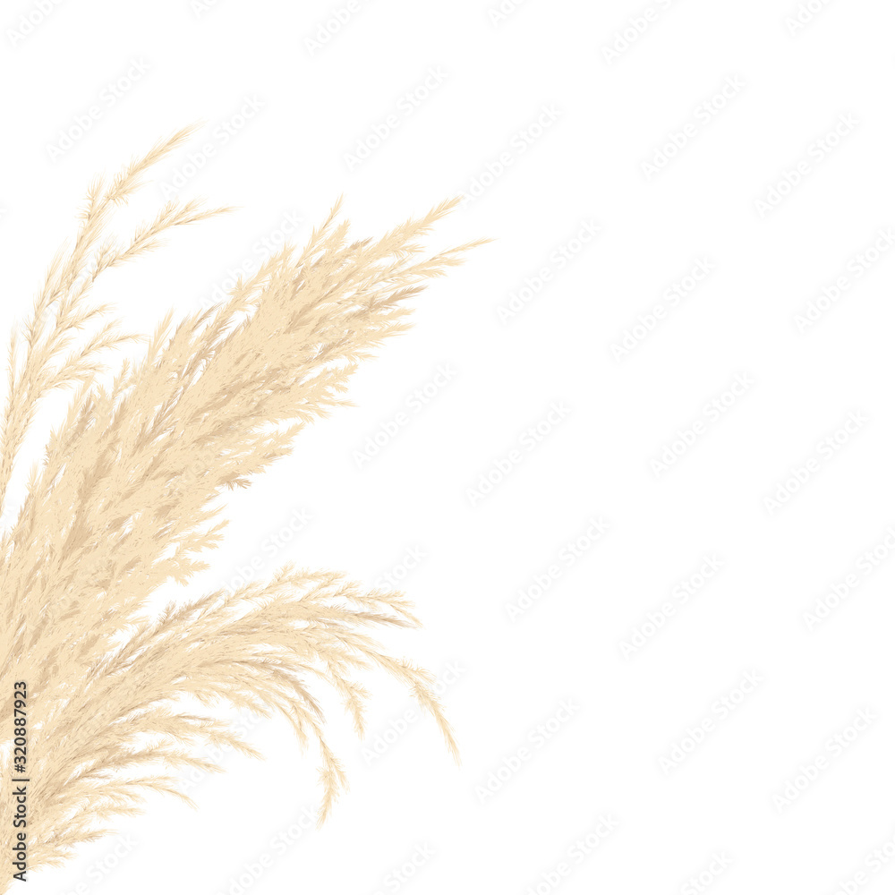 Silver golden Pampas grass Card template frame on the left with copy ...