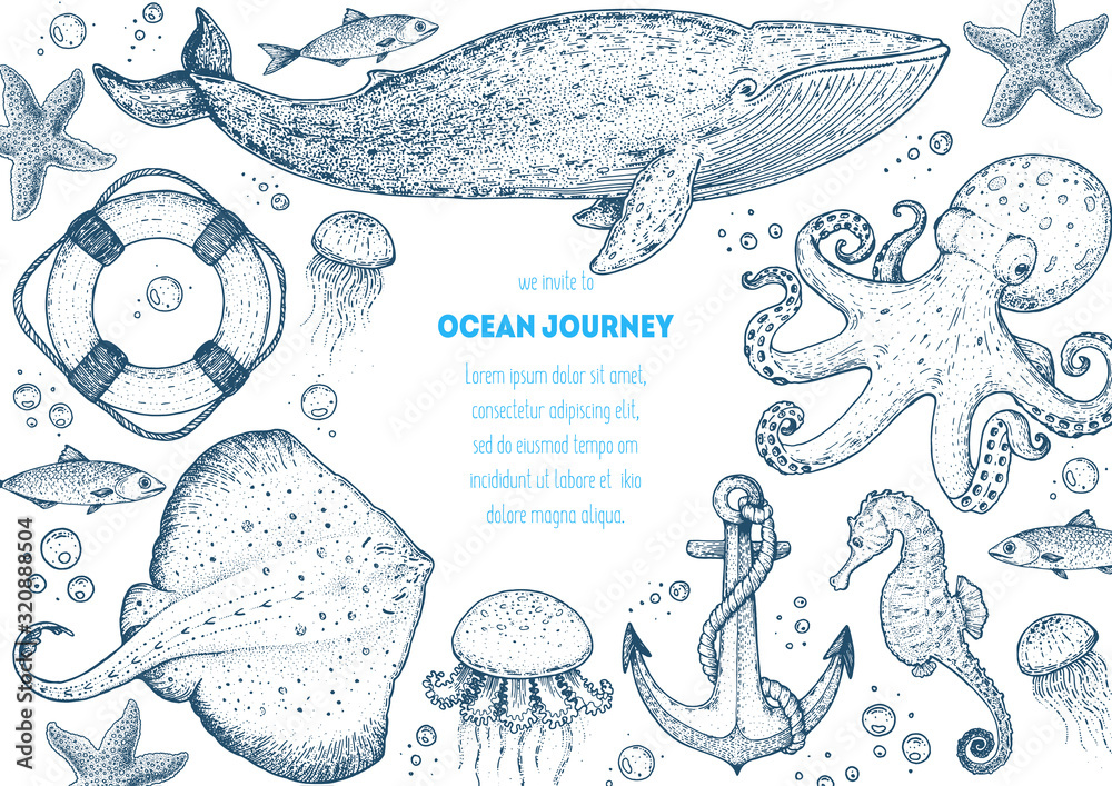 Sea animals hand drawn collection. Sketch illustration. Whale, cramp ...