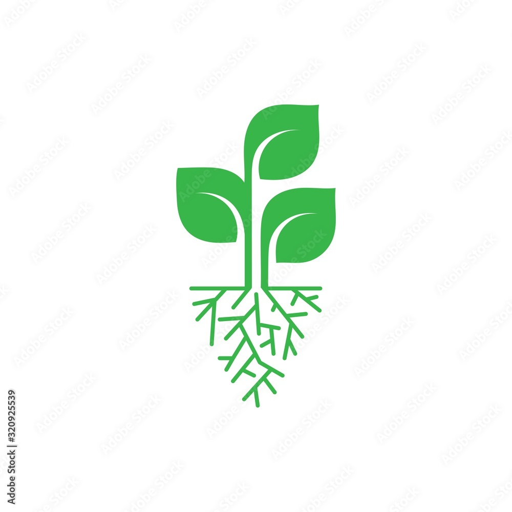green leaf with root logo design inspiration Stock Vector | Adobe Stock