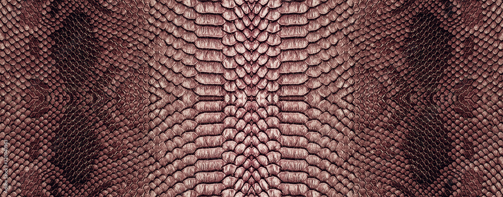 Snake skin texture closeup background. Panoramic web banner with copy ...