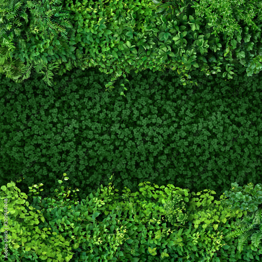 Green plants background bordered by a frame of leaves. Vegetative ...