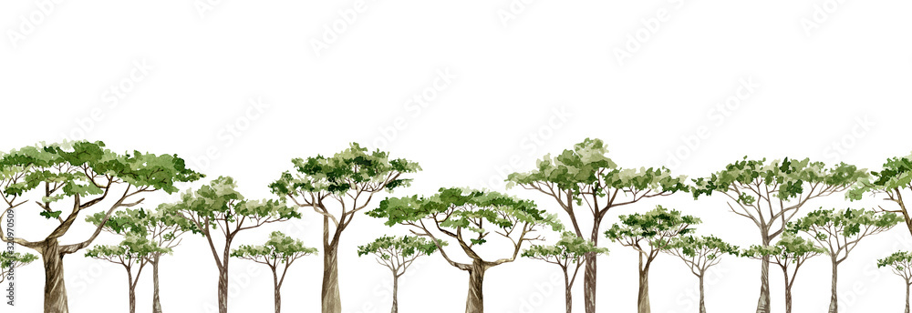 Watercolor Africa trees horazontal banner. Hand drawn illustration of ...