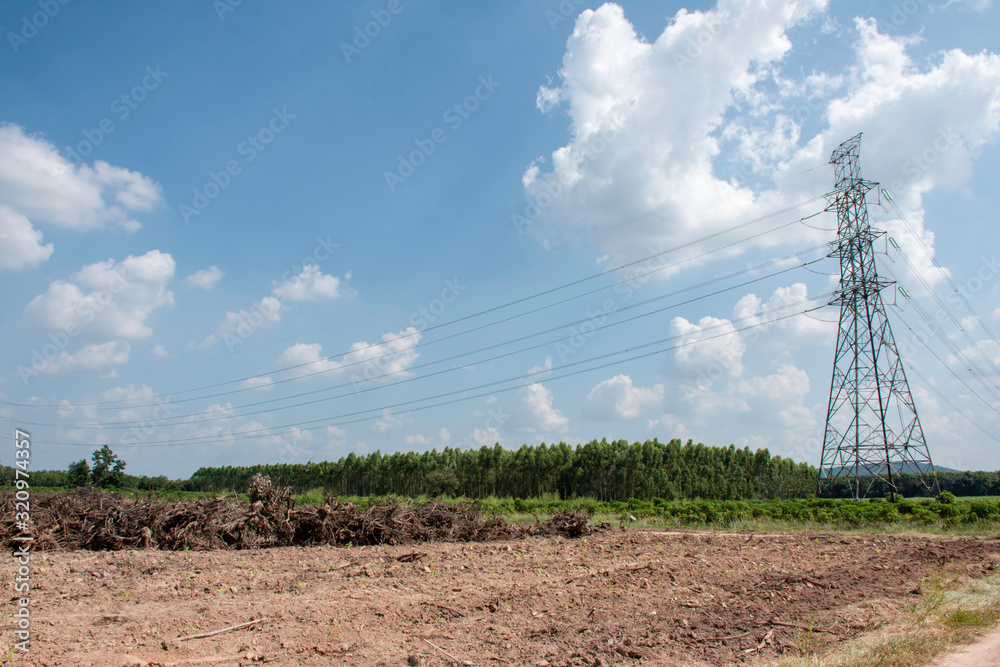 Electricity transmission line with green tree nature, Green ...