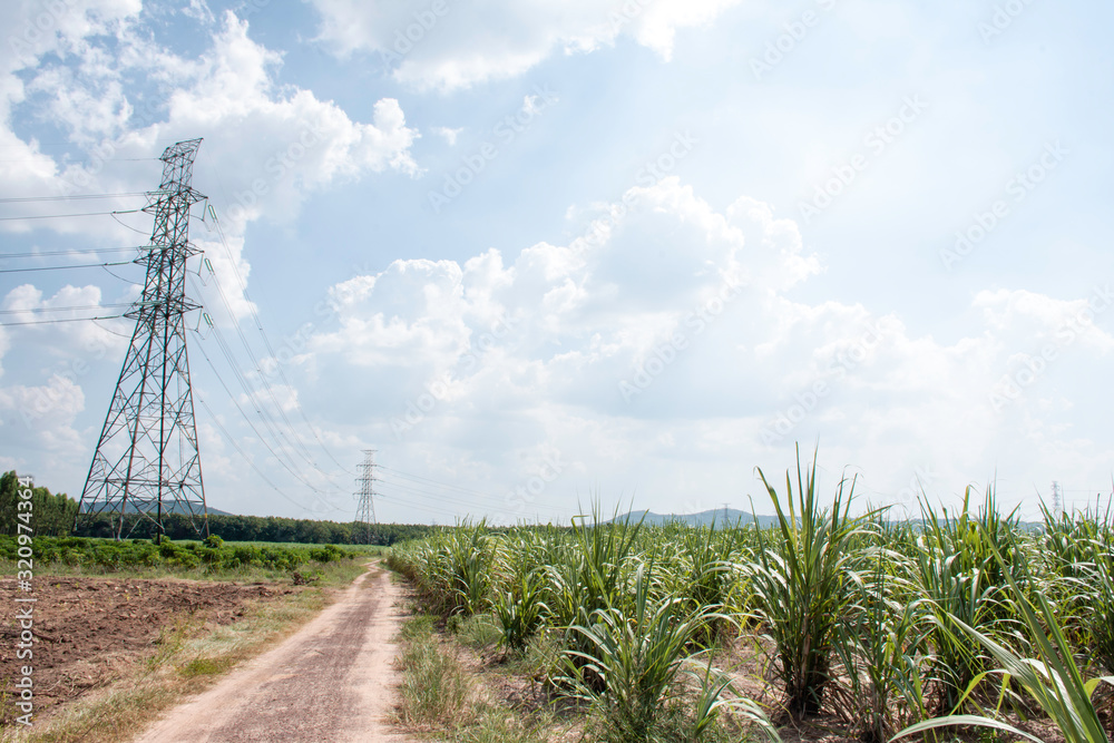Electricity transmission line with green tree nature, Green ...