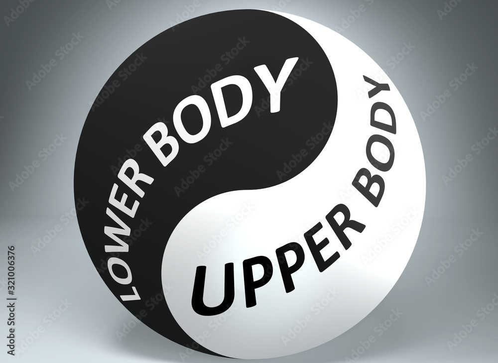 Lower body and upper body in balance - pictured as words Lower body ...