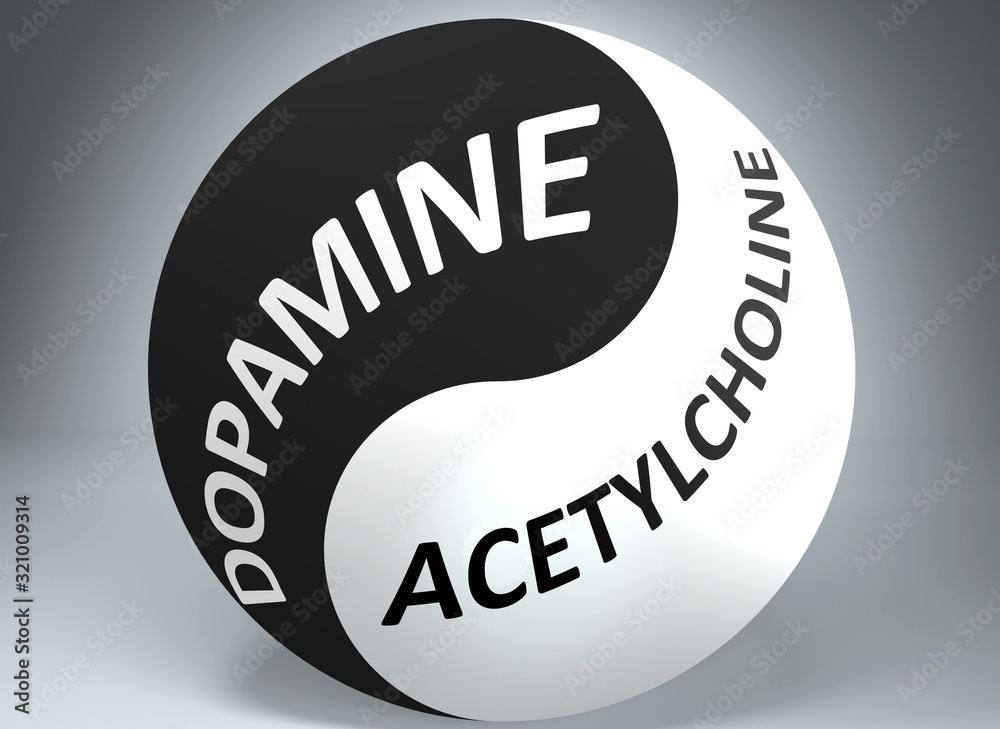 Dopamine and acetylcholine in balance - pictured as words Dopamine ...