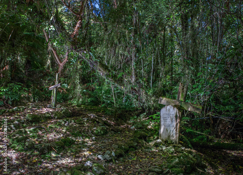 Jackson Bay. Historic cemetry. Graveyard. Wooden cross. Thombstone. Stock Photo | Adobe Stock