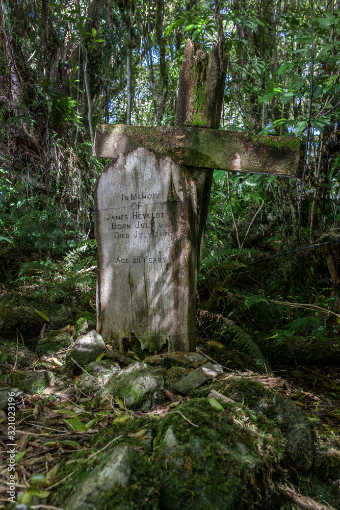 Jackson Bay. Historic cemetry. Graveyard. Wooden cross. Thombstone. Stock Photo | Adobe Stock