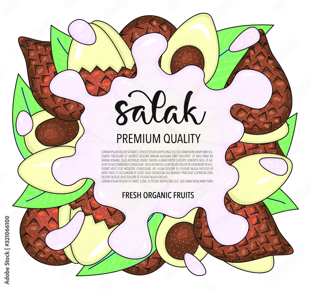 Vector background with salak, whole and pieces. Vector stock ...