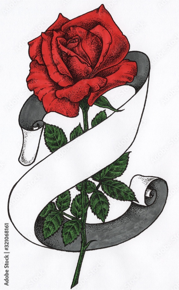 Hand drawn red rose with ribbon isolated on white background. Botanical ...