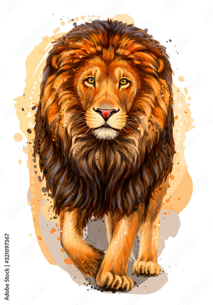 Lion. Artistic, color, realistic portrait of a lion walking forward on ...