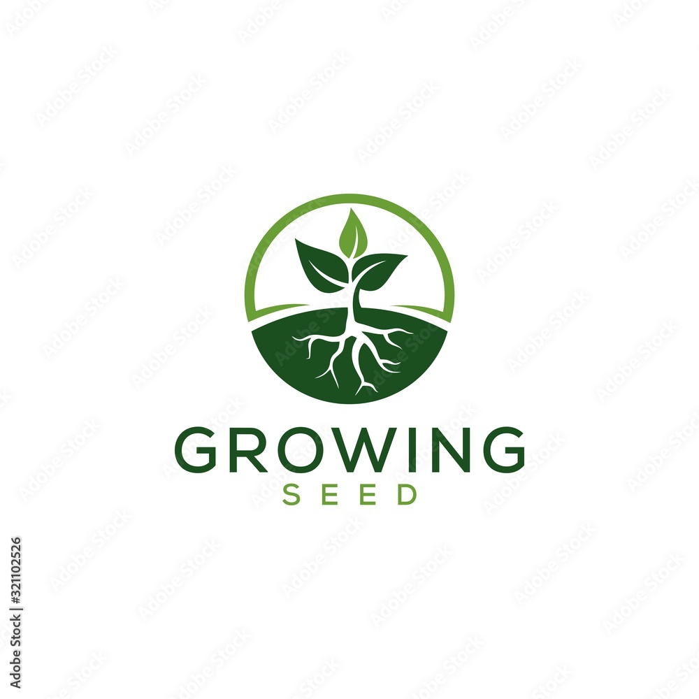 Growing Seed logo design vector , leaf , water and root simple concept ...