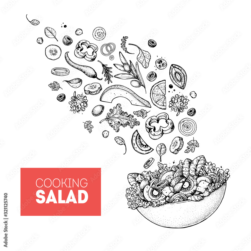 Salad sketch. Food illustration. Cooking salad design. Food menu ...