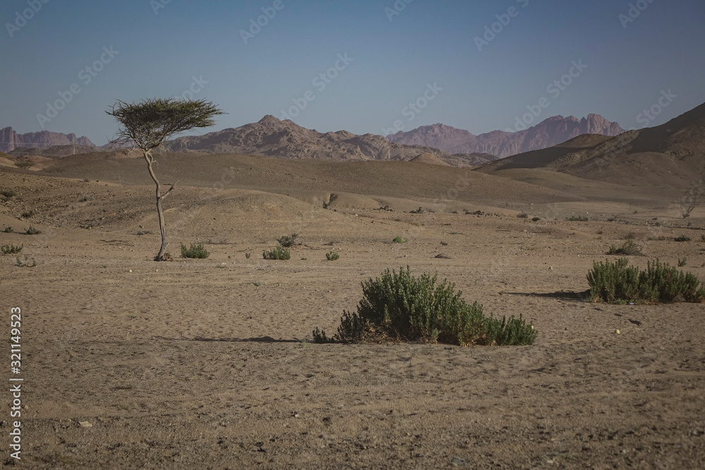 Desert in northern Saudi-Arabia Stock Photo | Adobe Stock