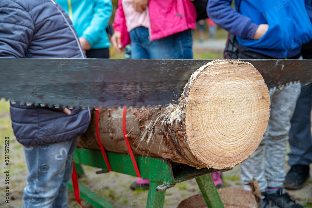 sawing logs with a two-handed saw in the woods for logging Stock Photo ...