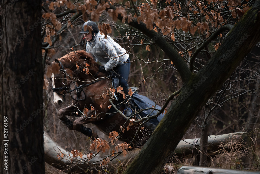 Reiterin springt mit ihrem Pferd durch einen Vielseitigkeitsparcours im ...