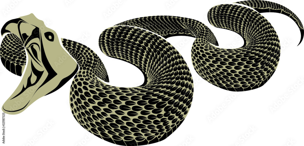 north west native americans snake - tow tone - transparant backgroun ...
