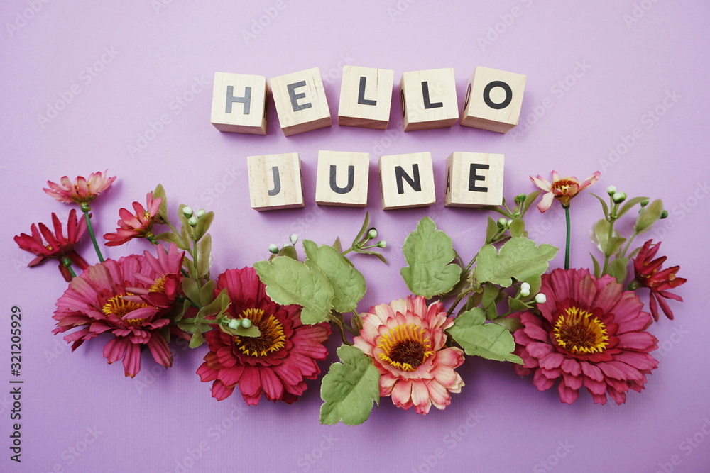Hello June alphabet letters with pink flower decoration on purple ...