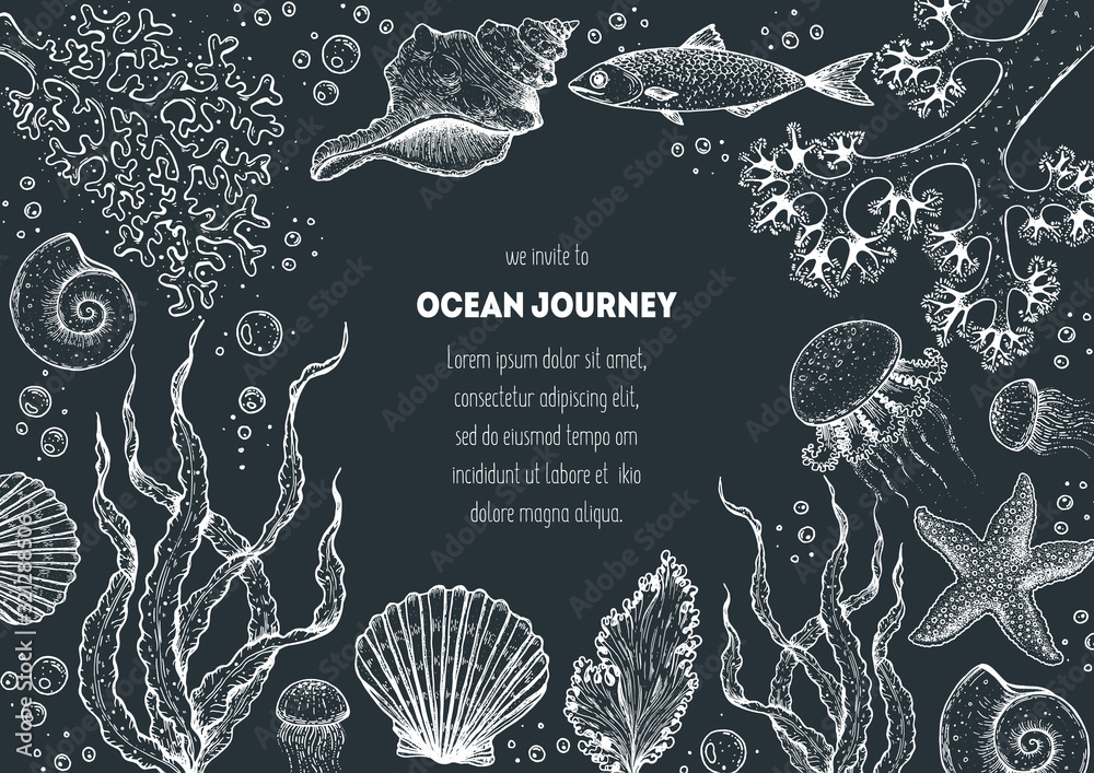 Underwater world hand drawn collection. Sketch illustration. Seaweed ...