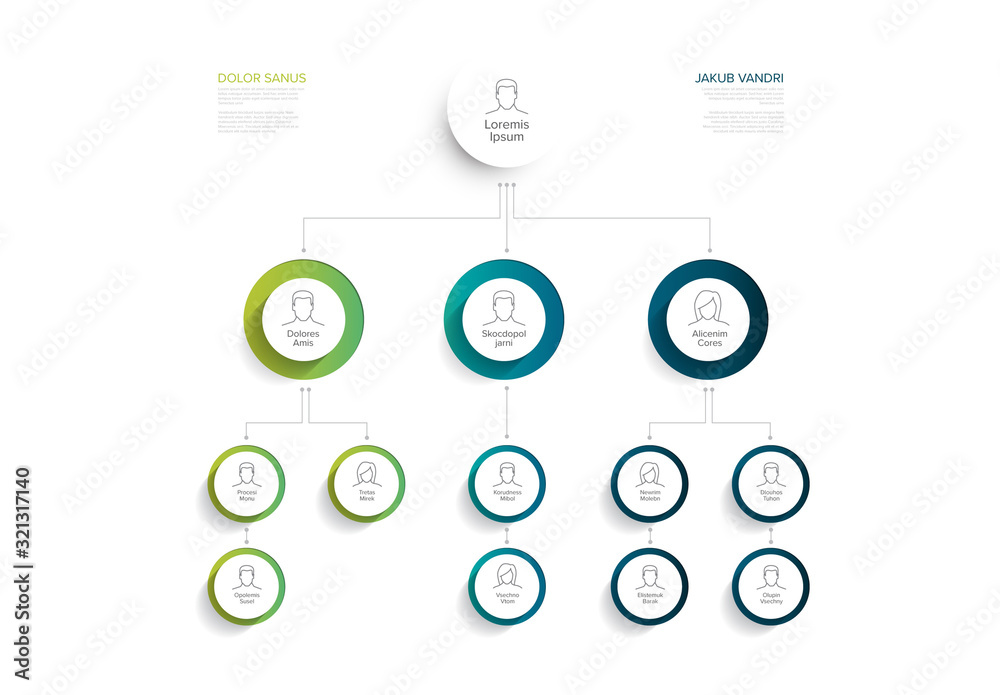 Company Hierarchy Schema Layout Stock Template | Adobe Stock
