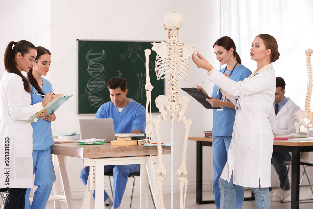Medical students studying human skeleton anatomy in classroom Stock ...
