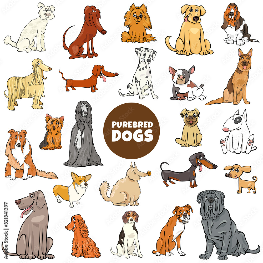 cartoon purebred dog characters large set Stock Vector | Adobe Stock
