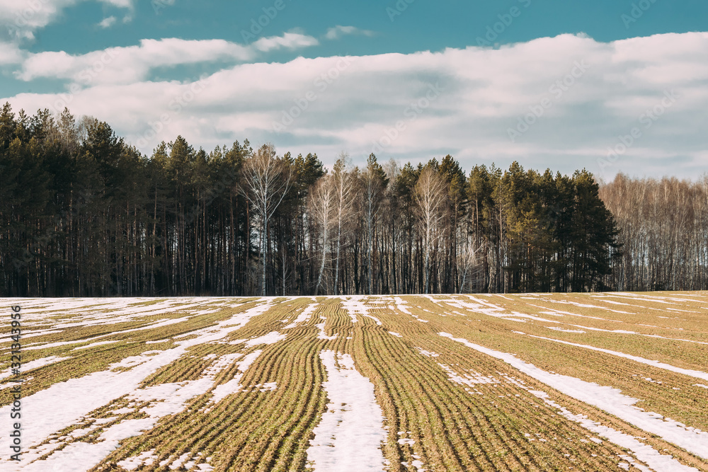 Foto de Spring Plowed Field Partly Covered Winter Melting Snow Ready ...