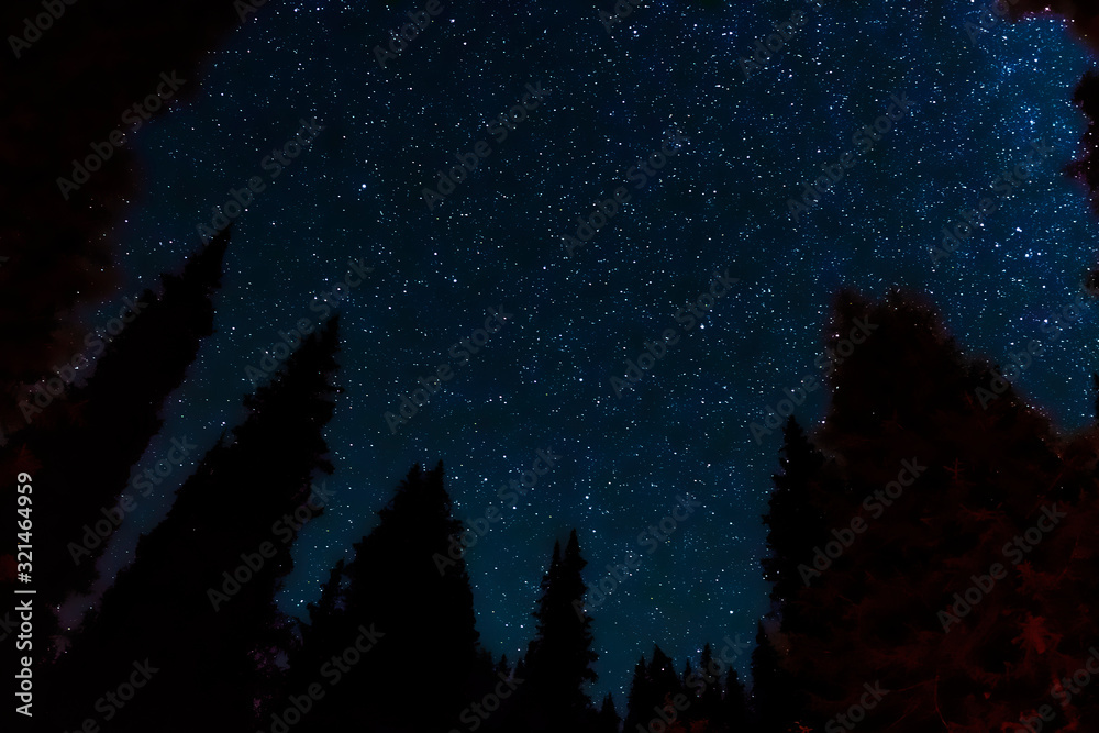 Blue night sky with trees silhoettes. Colorful night sky background ...