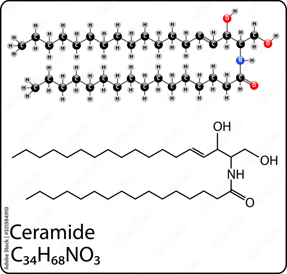 ceramide Molecule Structure Stock Vector | Adobe Stock