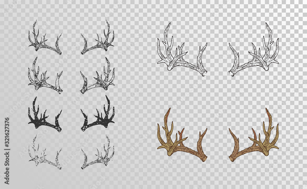 Vector set of hand drawn horns deer with grunge elements in different ...