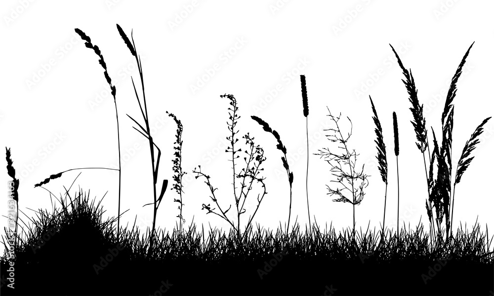 Prairie Grass Vector