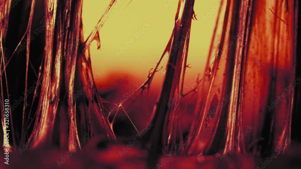 Stretching and rupture of ligaments and tendons during prolonged muscle ...