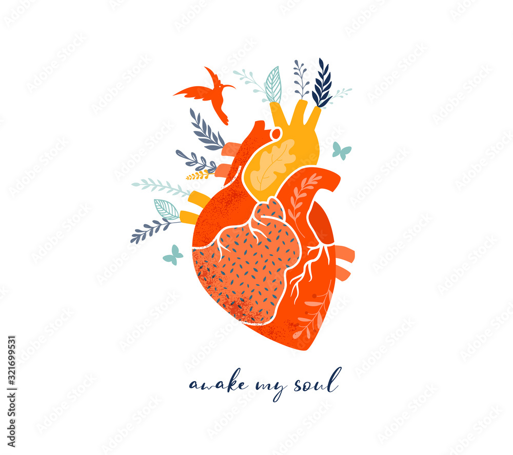 Anatomical heart modern print design, art work, vector design and ...