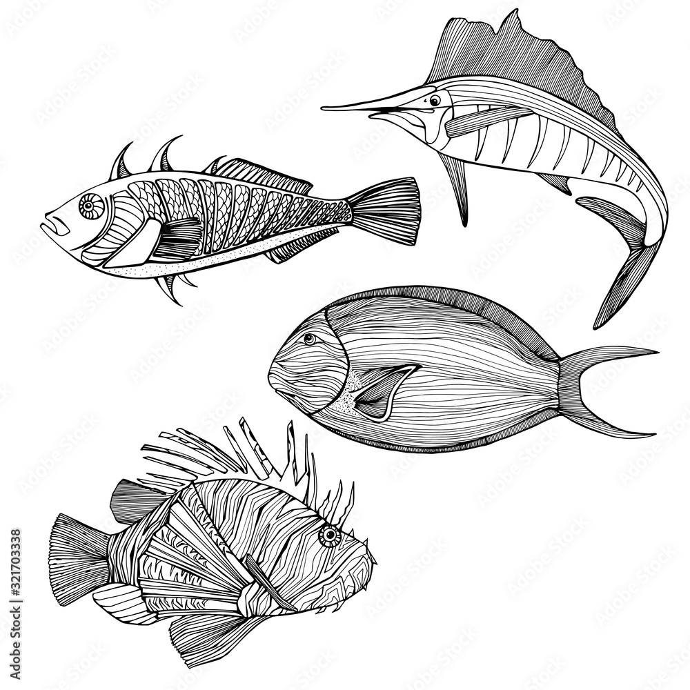 Scorpion, or sea ruffs, swordfish, smelt fish, surgeon fish, with small ...