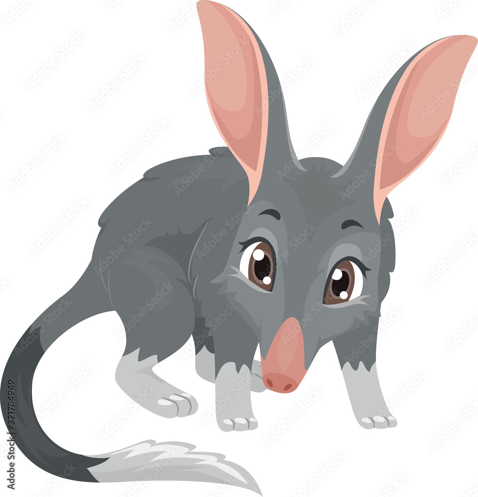 Bilby Animal Standing Illustration Stock Vector | Adobe Stock