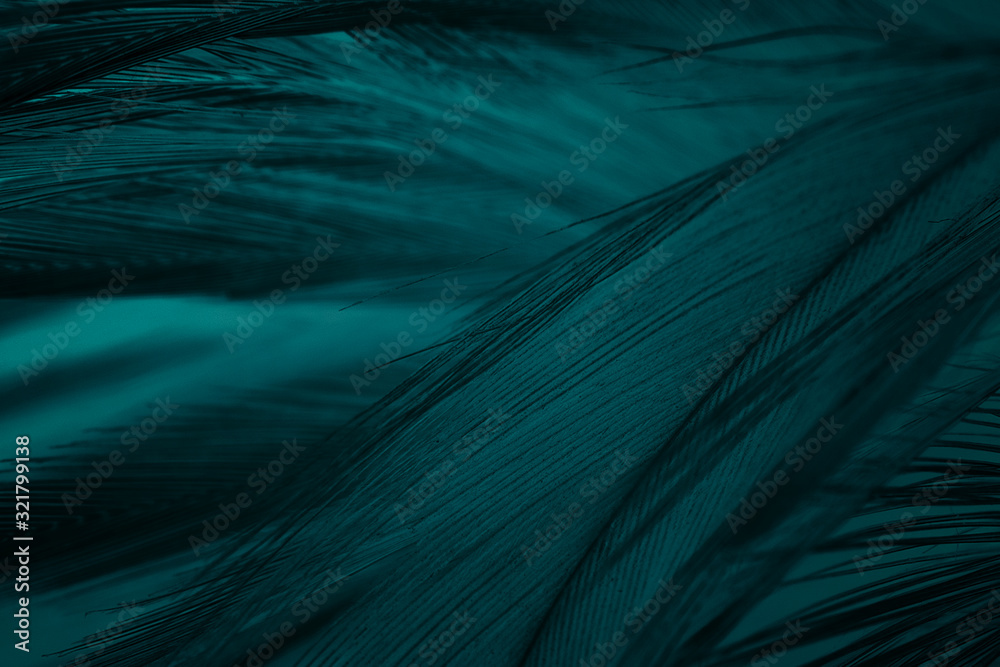 Beautiful dark green viridian vintage color trends feather texture ...