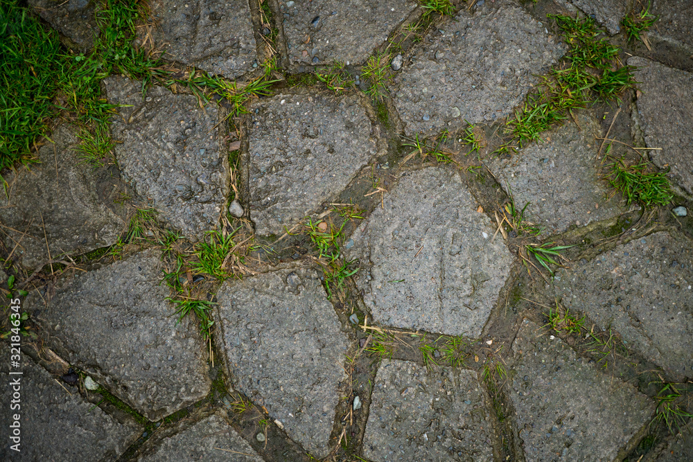 Texture of paving slabs overgrown with grass. Background image of a ...