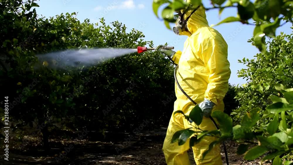 Weed insecticide fumigation. Organic ecological agriculture. Spray ...