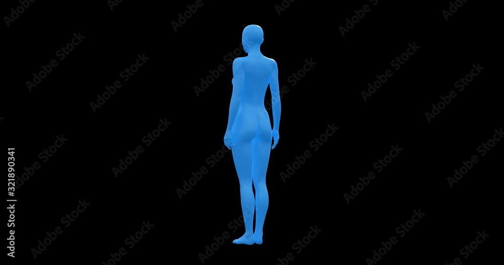 Woman, Female Body, 3D Wireframe Model, Seamless Loop, Transparent with ...