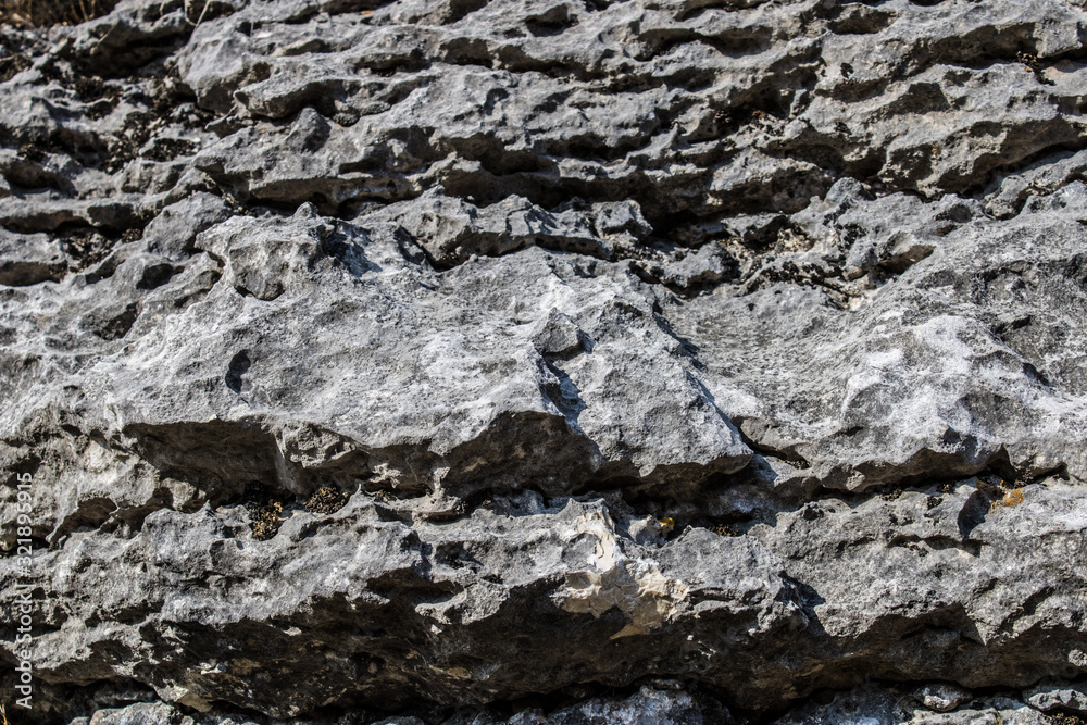 Gray limestone texture closeup, carbonate sedimentary rock close-up ...