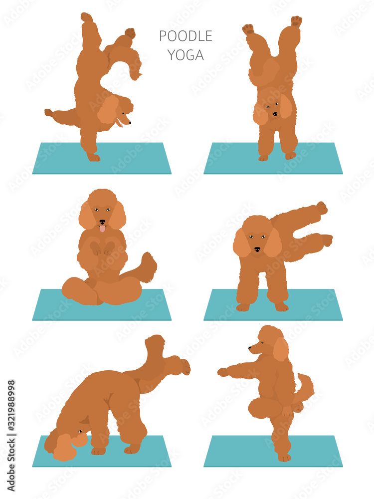 Yoga dogs poses and exercises poster design. Poodle clipart Stock ...