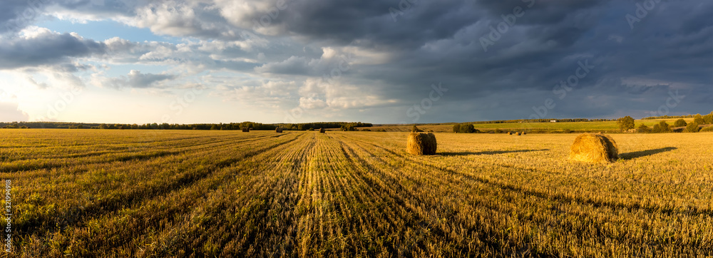 Scene with haystacks on the field in autumn sunny day. Rural landscape ...